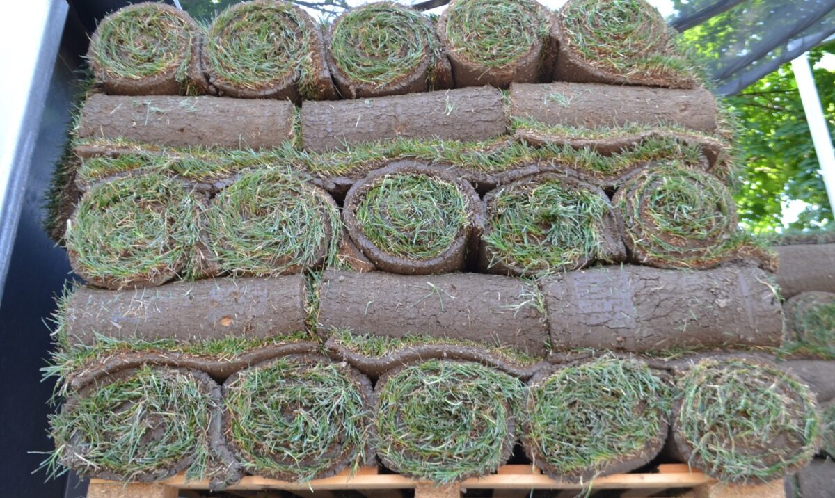 Fresh Sod - Dirt Cheap Online Delivery Order