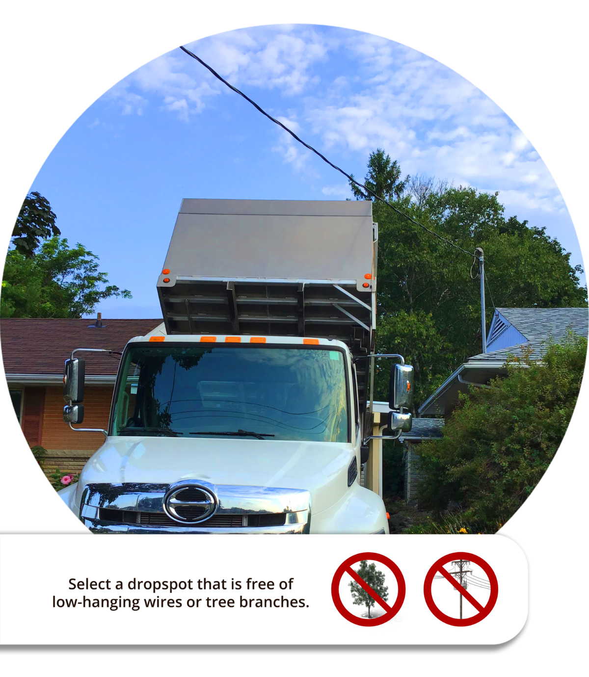 Large Quantity Orders? No Problem for Dirt Cheap. Affordable Delivery ...